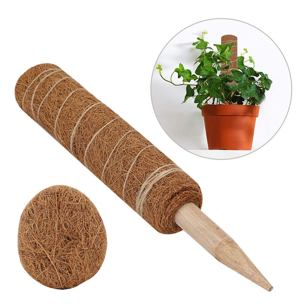 Palo de palma de coco seguro para jardinería con t... – Grandado