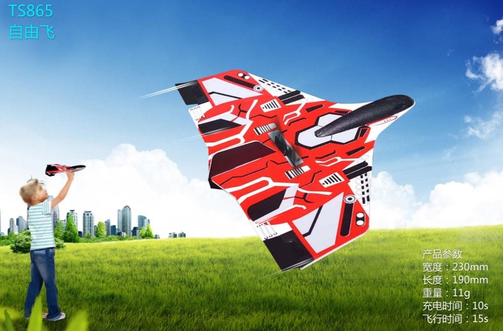 1pcs FREE FLY 865 MINI PLANE TS865 toys plane park... – Grandado