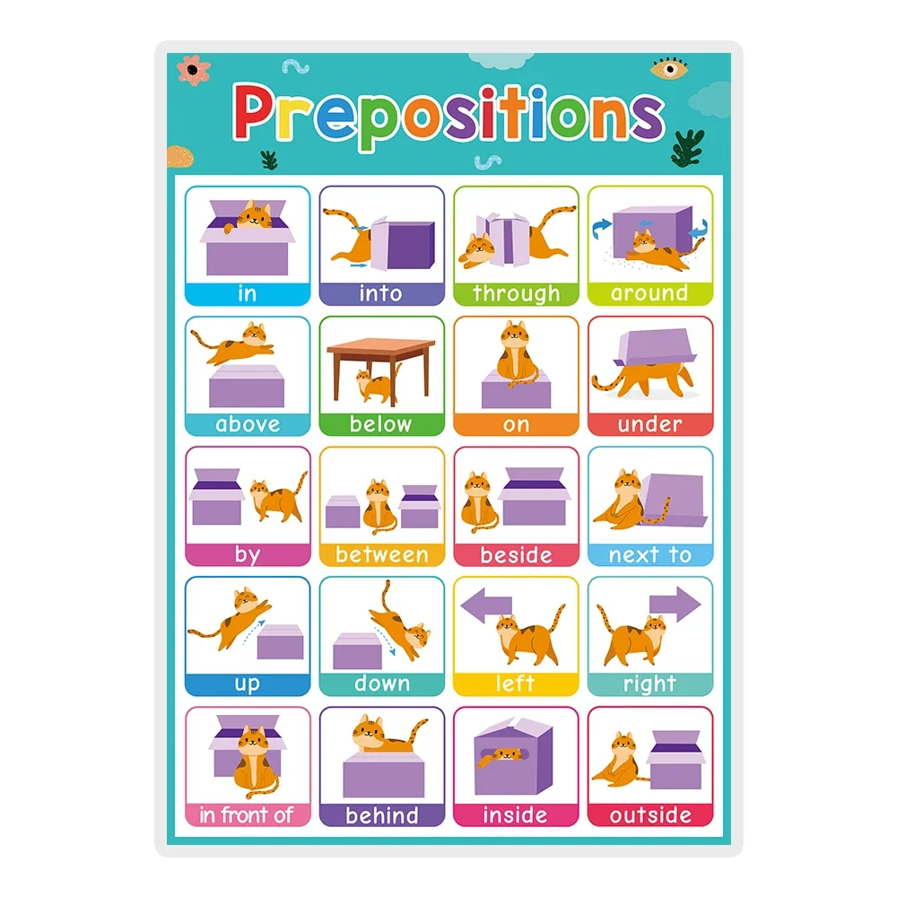 Lachilly 20 Themes Learning English A4 Poster for ... – Grandado