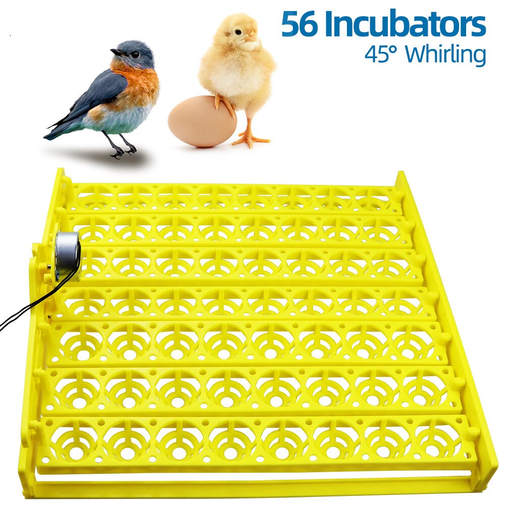 Automatic Egg Incubator Capacity 56/154 Duck Chick... – Grandado