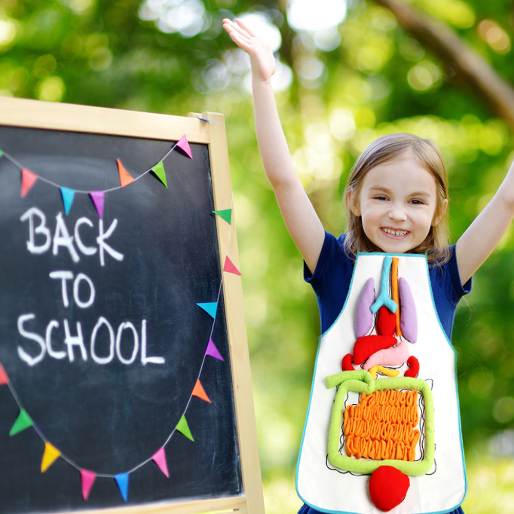 3D Organ Apron Anatomy Apron Human Body Organs Awa... – Grandado