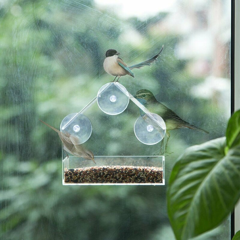 Window Bird Feeders Clear Glass Window Viewing Bir... – Grandado