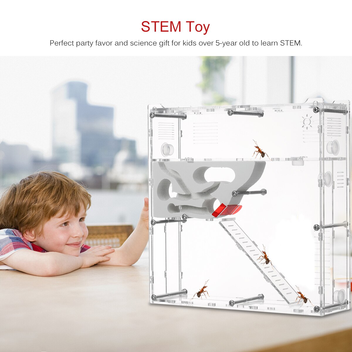 Ant Farm Starter Kit Ant Habitat Science Kit STEM ... – Grandado