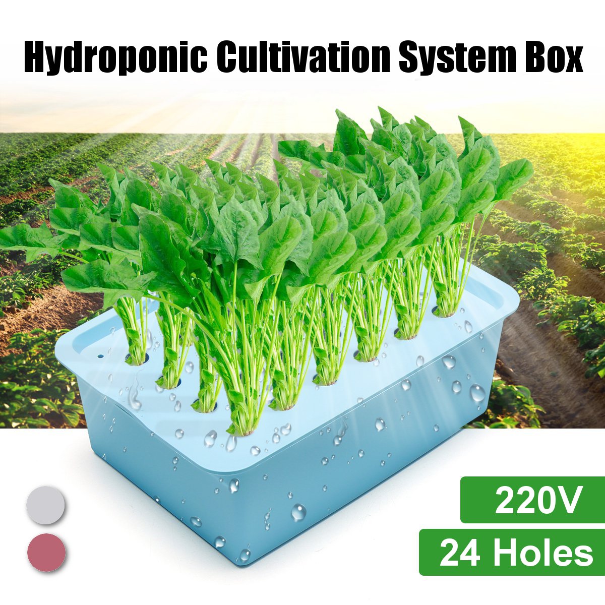 24 Holes Water Hydroponic Systems Kit 6 Holes Nurs... – Grandado