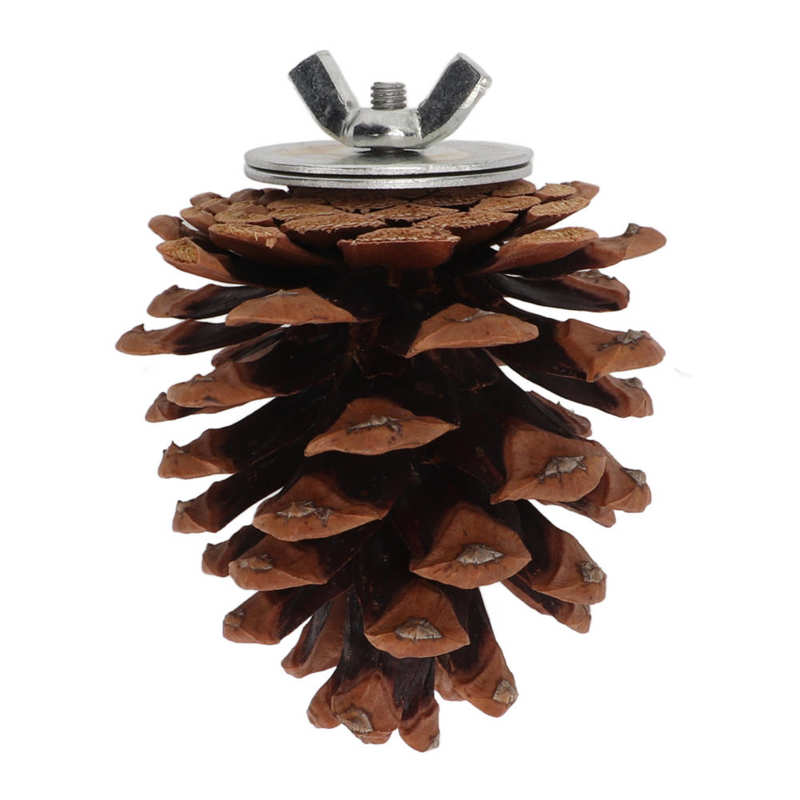 Bird Bite Pine Cones Bird Molar Pine Cone Toy Safe... – Vicedeal