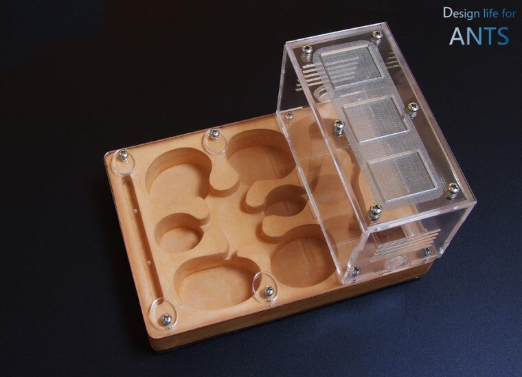 Anthill Ant House Ant Flat Nest Plasterboard Ant F... – Vicedeal