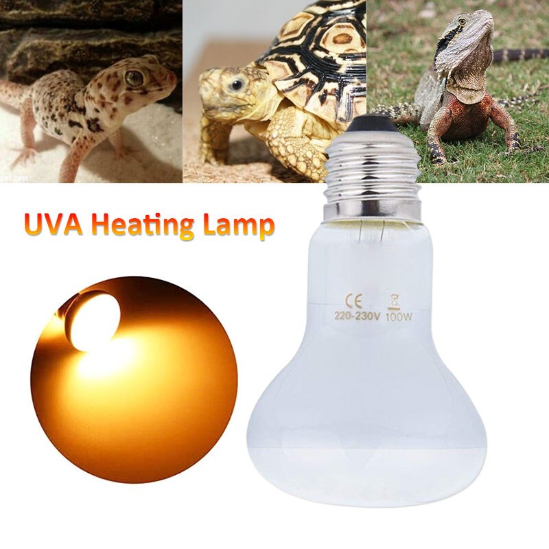 Heating Lamp 110V Amphibian Animal Sun Lamp Crawle... – Grandado