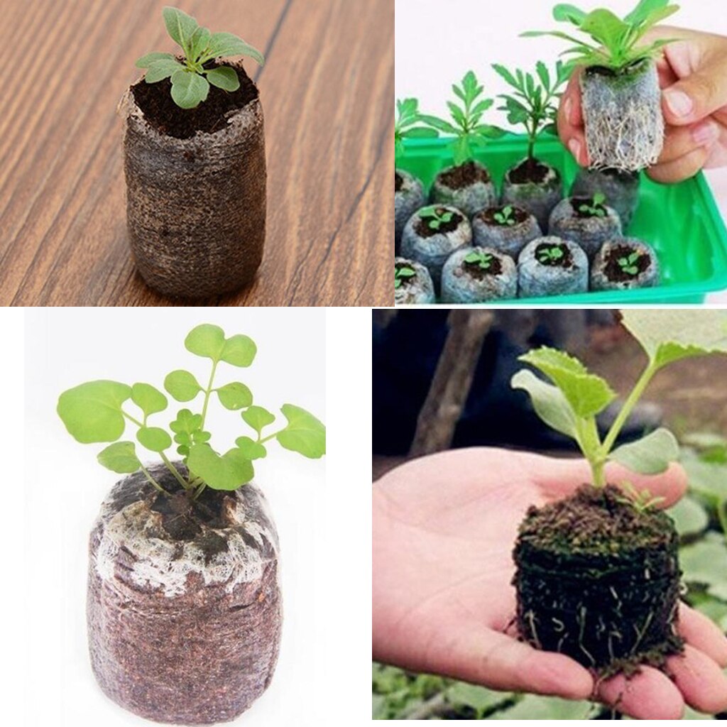 10Pcs seed seedling block media of plant floor for... – Grandado