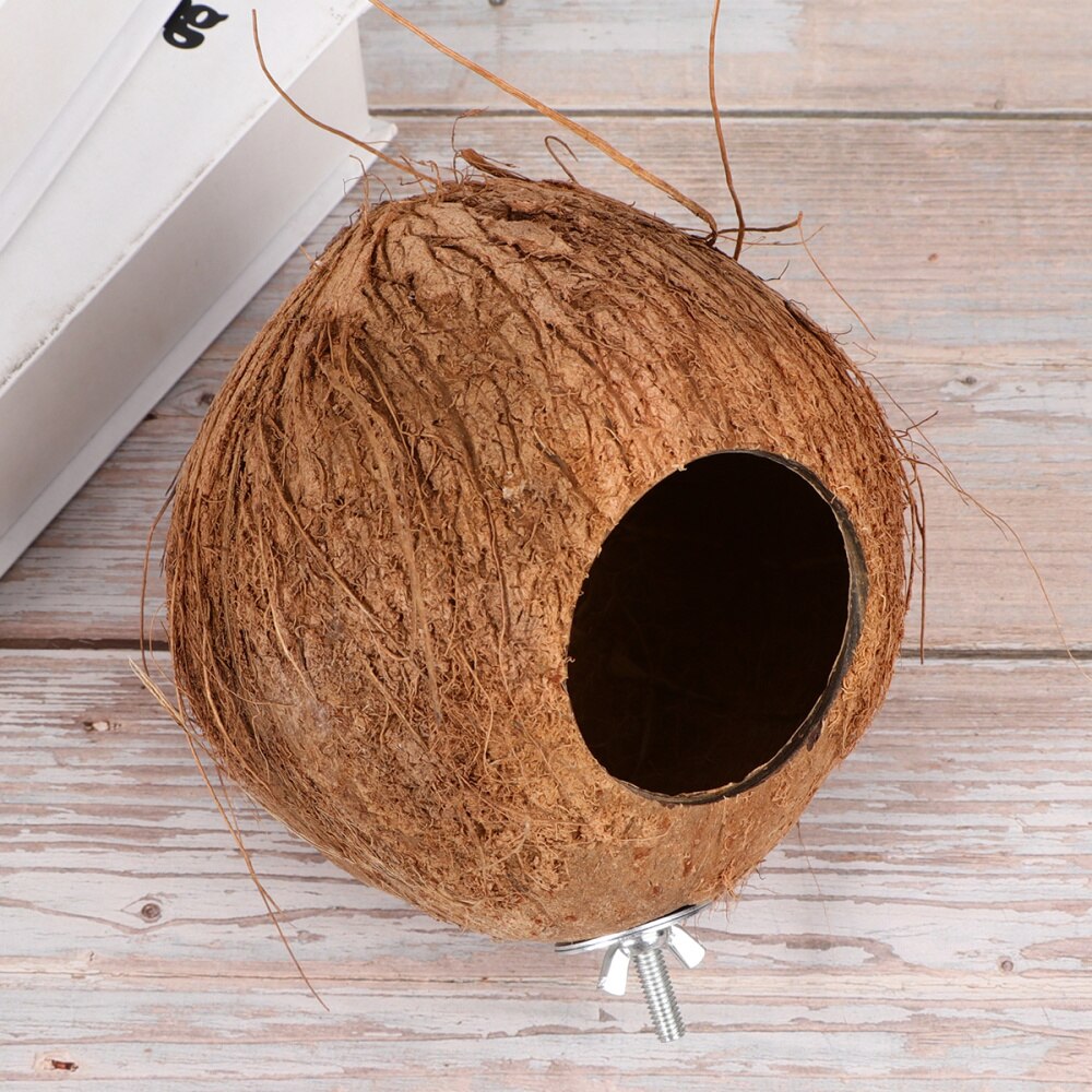 Handmade Coconut Shell Bird Nest Classic Wide Entr... – Vicedeal