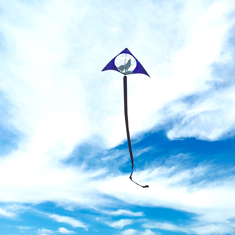 Wolf Kites 160cm Outdoor Sports Fly Kite Kids Toy ... – Grandado