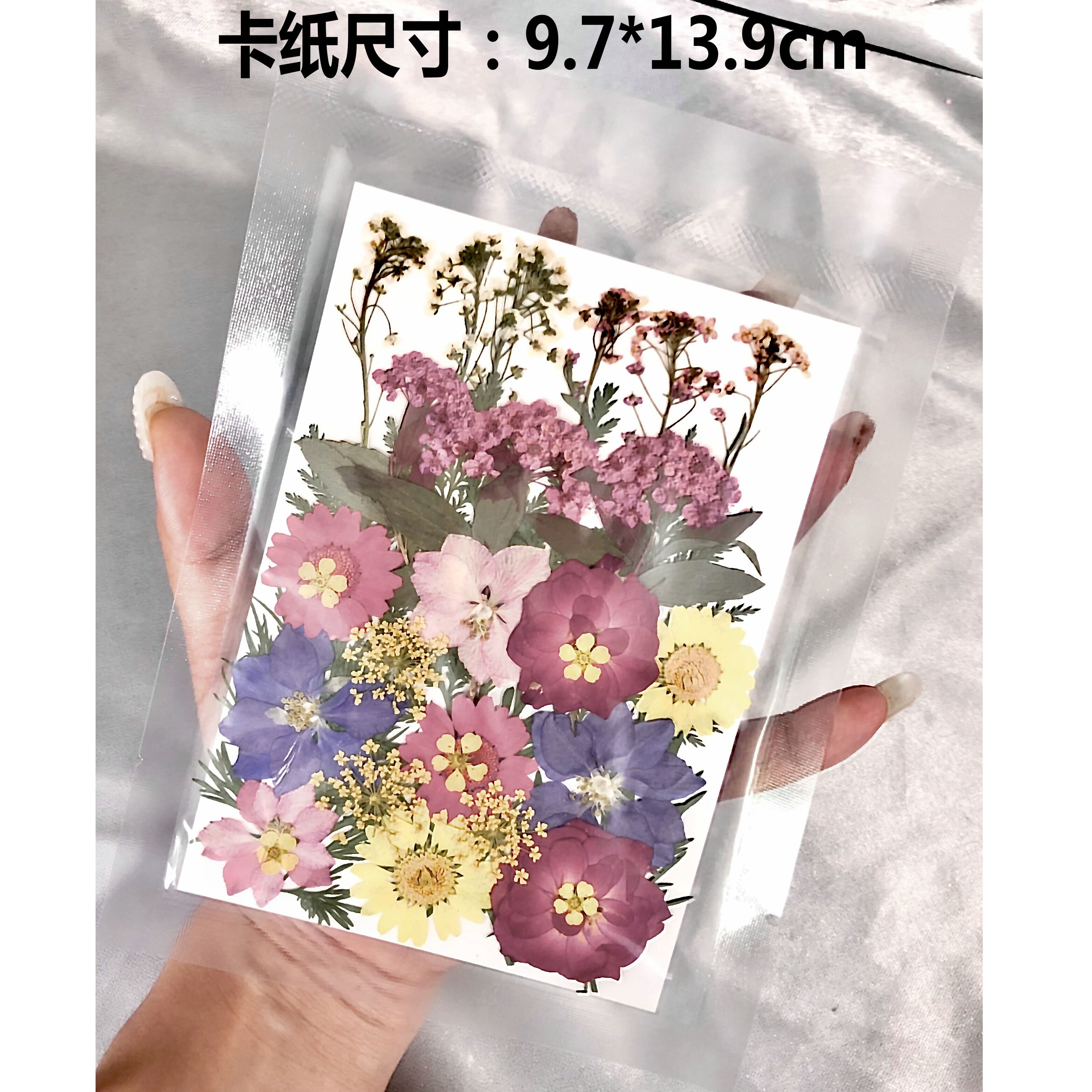 Real Dried Flower Diy Craft Resin Jewelry Fillings Grandado
