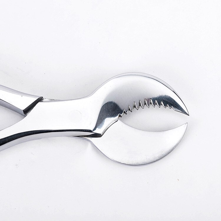 Dental Lab Gypsum Scissors Dentistry Material Plas... – Grandado