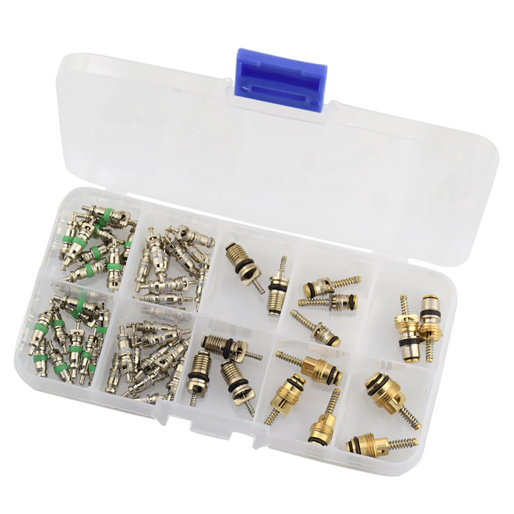 55pcs Schrader Valve Assortment Cores For R134a R1 Vicedeal