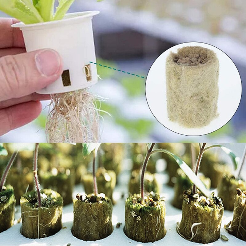 Mini Compress Base Practical Rockwool Cubes Media ... – Grandado