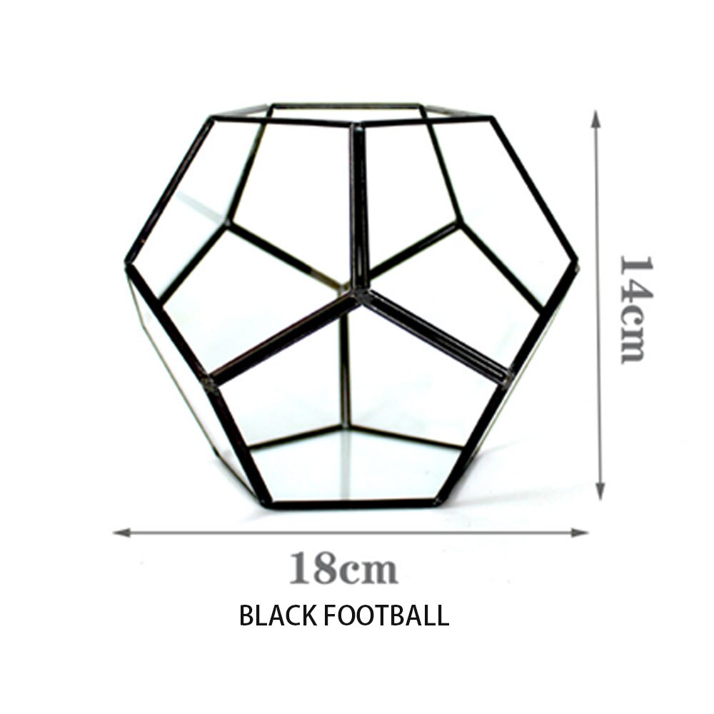 Geometric Glass Pentagon Terrarium Container Windo... – Grandado