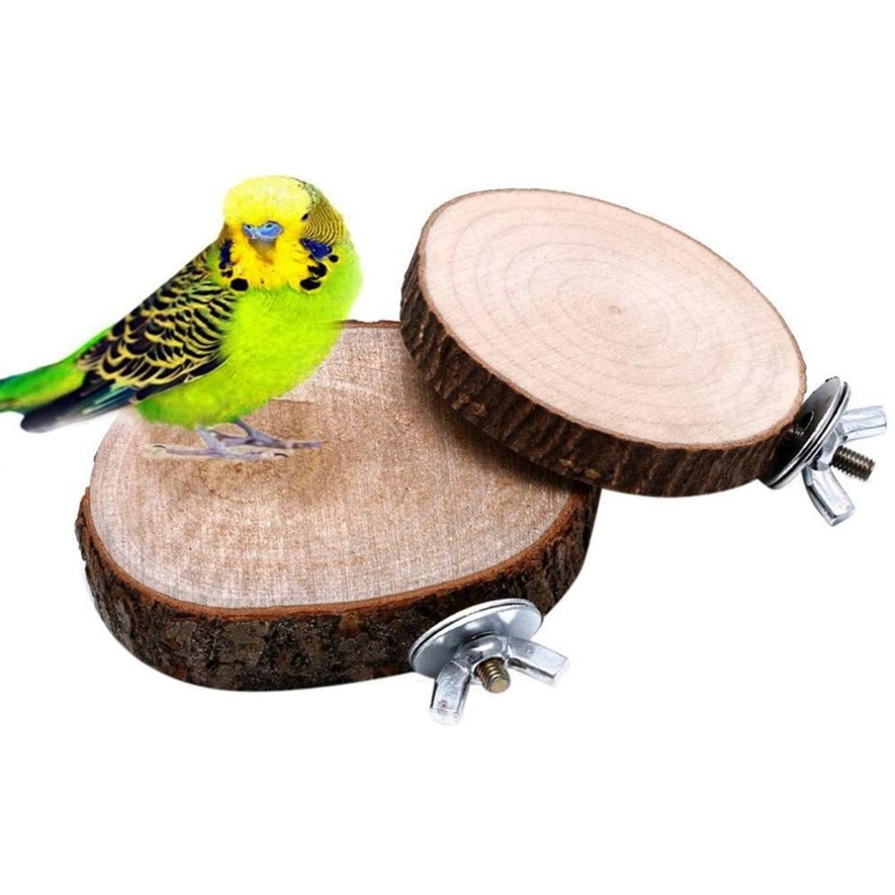Oblique Cut Wooden Pier Slab Parrot Station Board ... – Grandado