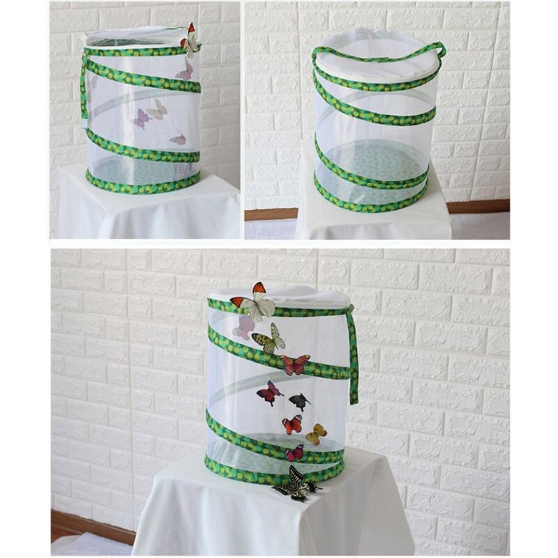 Insect and Butterfly Habitat Cage Terrarium Insect... – Vicedeal