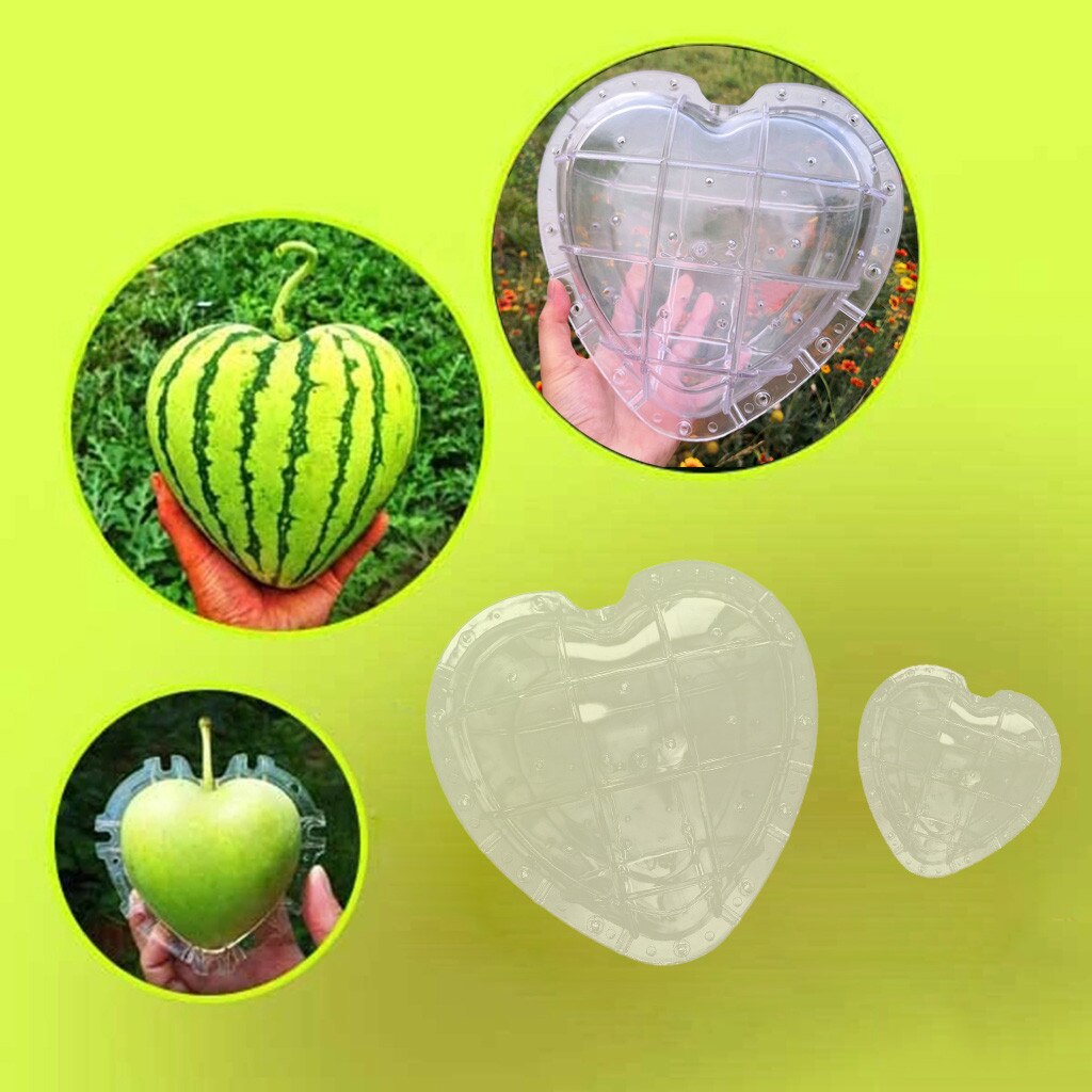 1pcs Greenhouse Magic Heart-shaped Watermelon Shap... – Grandado 1pcs Greenhouse Magic Heart-shaped Watermelon Shap... – Grandado