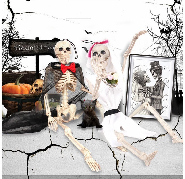 Plastic Lifelike Popular Full Life Size Human Skel... – Vicedeal