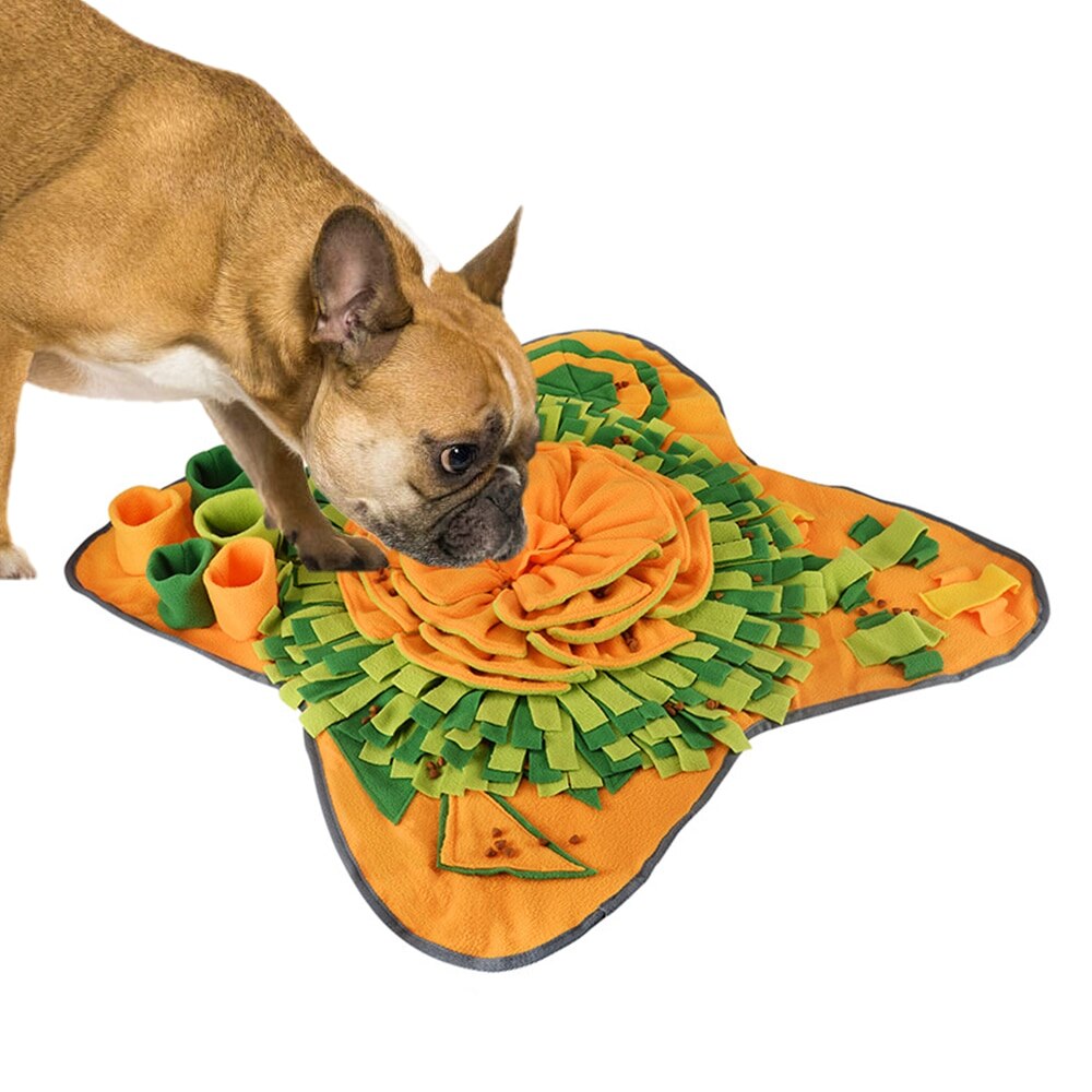 Pet Training Matten Spelen Hond Mat Hond Trage Voe... – Grandado