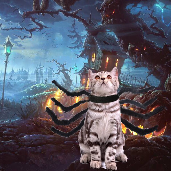 Spider Wing Clothes Pet Halloween Christmas Chest ... – Grandado
