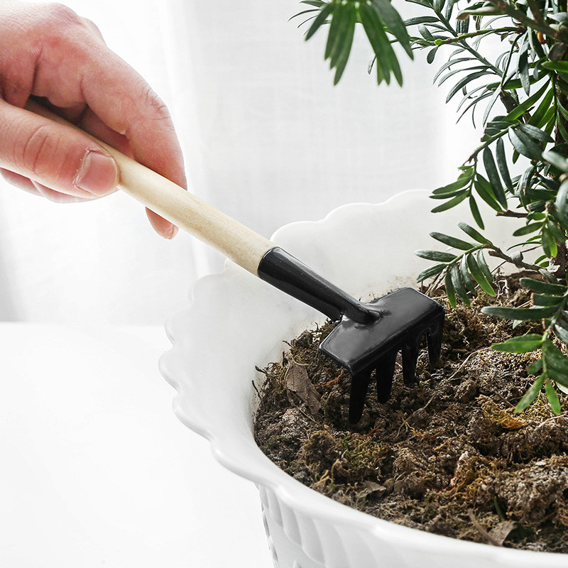 3pcs Set Mini Gardening Tool Small Rake Shovel Spa... – Vicedeal