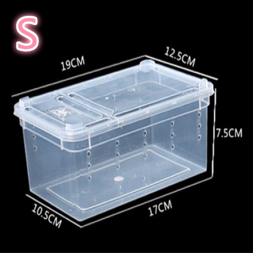 pet Feeding box Spider house frog farm insect turt... – Vicedeal