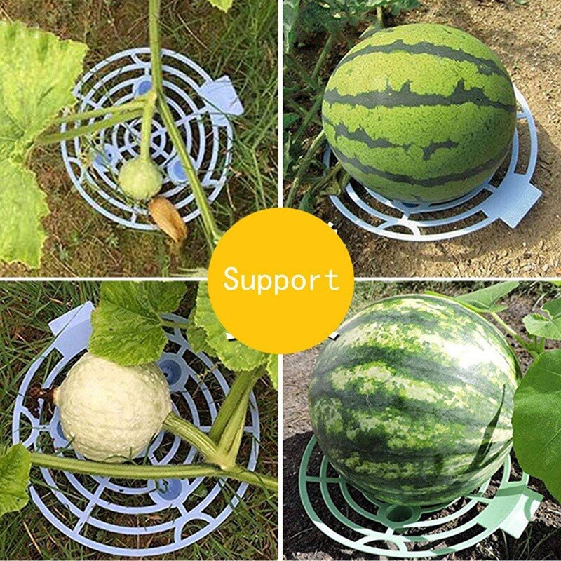 9 Pack Supports Stand for Squash Watermelon Strawb... – Vicedeal