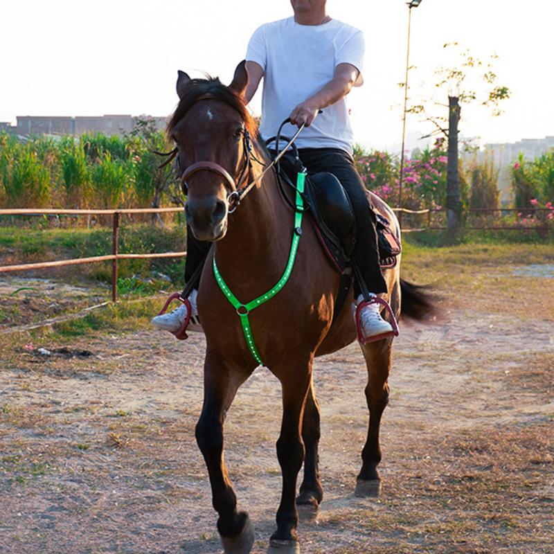 Outdoor Cool Nylon Webbing Equestrian LED Horse Ha... – Grandado