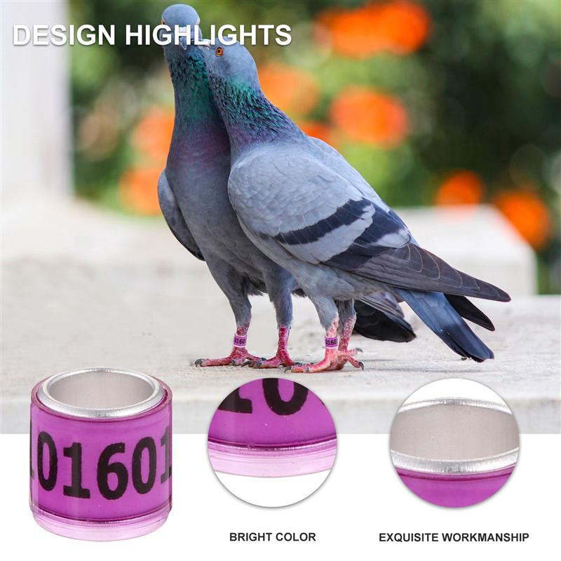 100Pcs Taube Fuß Ringe Nummeriert Pigeon Fuß Ring ... – Vicedeal