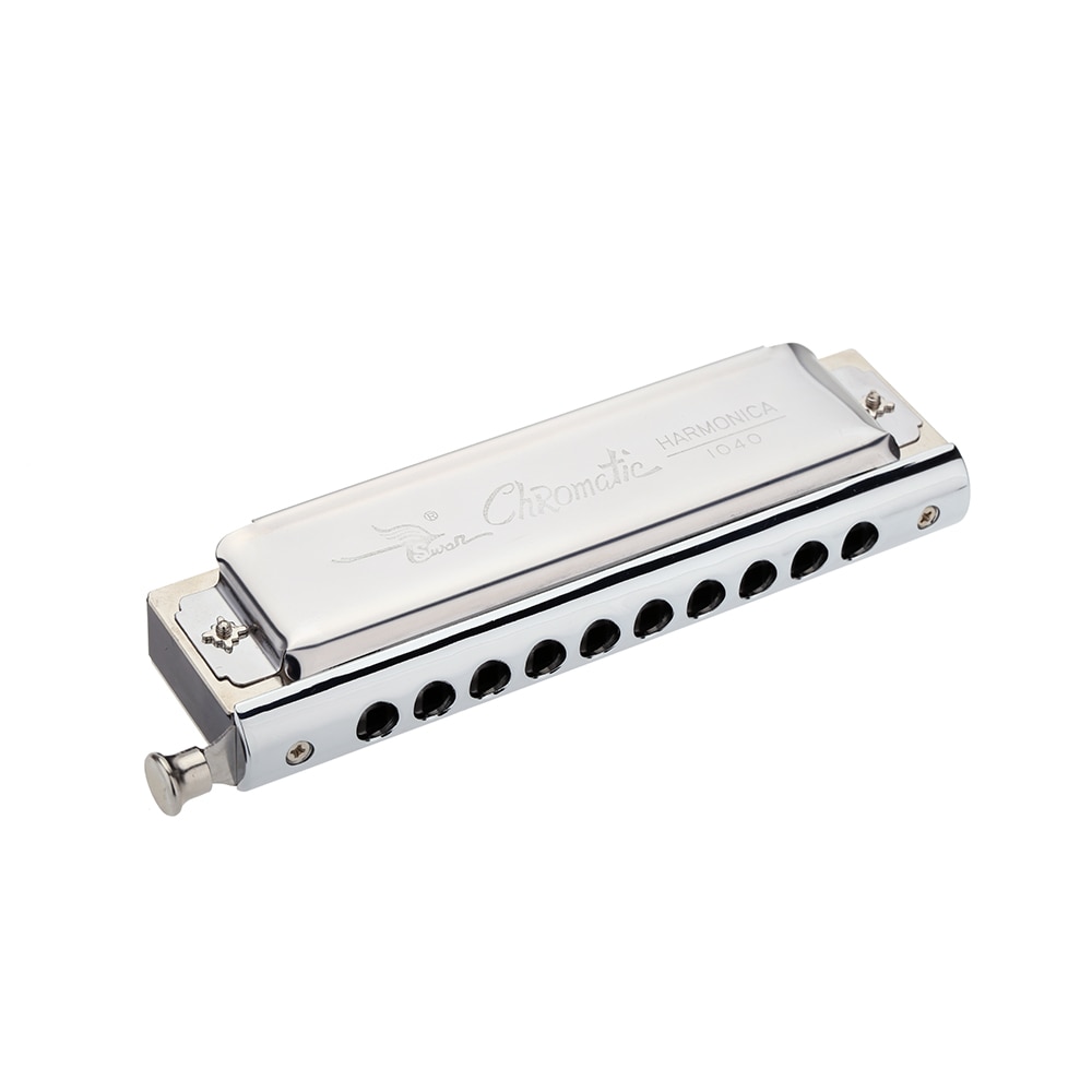 Style Silver 10 Holes Chromatic Blues Swan Harmoni... – Grandado