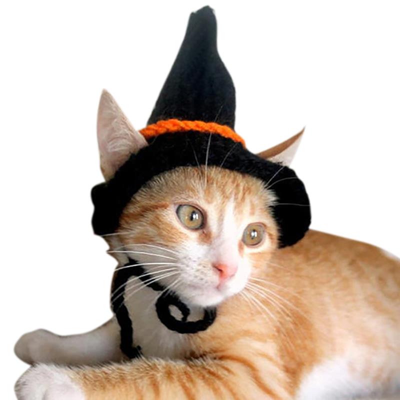 Halloween Party Pet Kat Hoed Pet Caps Pompoen Spid... – Vicedeal