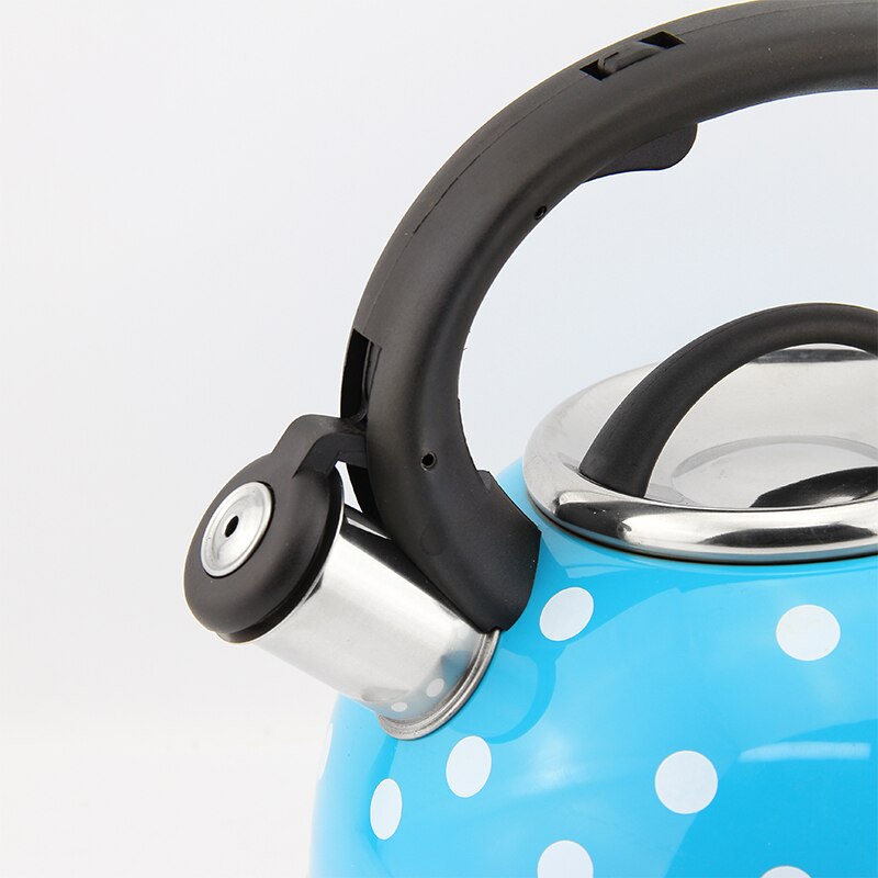 Stainless Steel Kettle Color Paint Water Pot With ... – Grandado