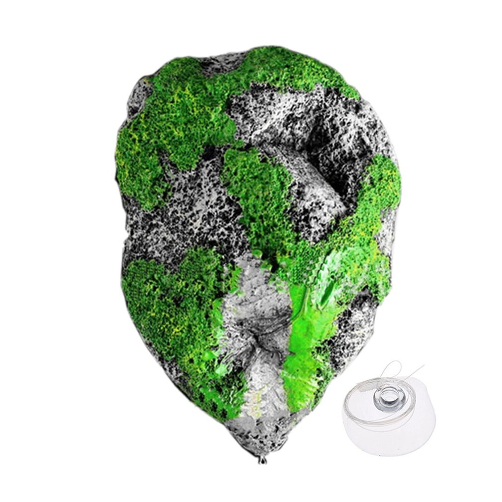 Simulation Of Floating Stone Aquarium Landscaping ... – Grandado