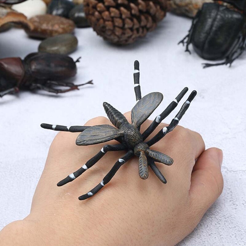 8pcs/12pcs Simulation Static Insect Model Ornament... – Grandado