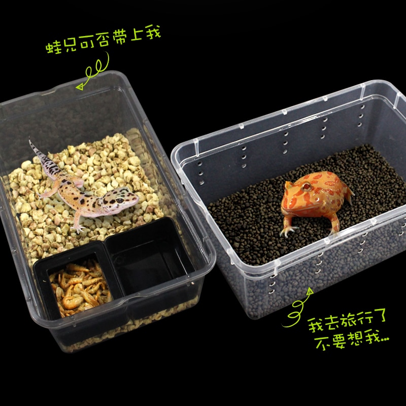 1PCS Climbing Pet Breeding Box Spider Frog Silkwor... – Grandado