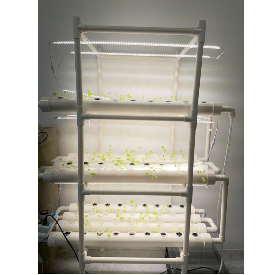 Hydroponic Grow System PVC Water Supply Pipe With ... – Grandado