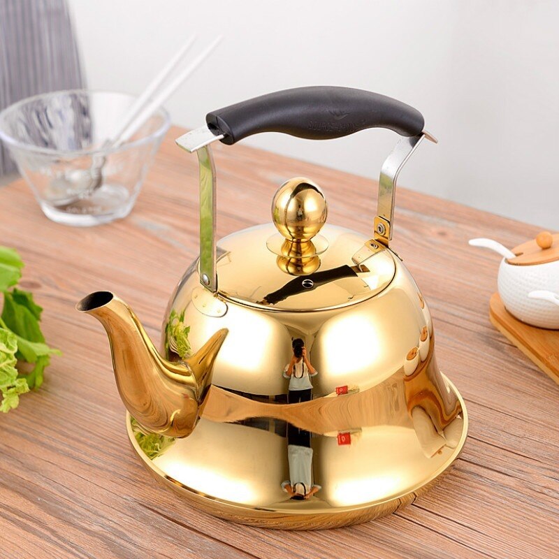 Stainless Steel Kettle Whistling Kettle with Infus... – Grandado