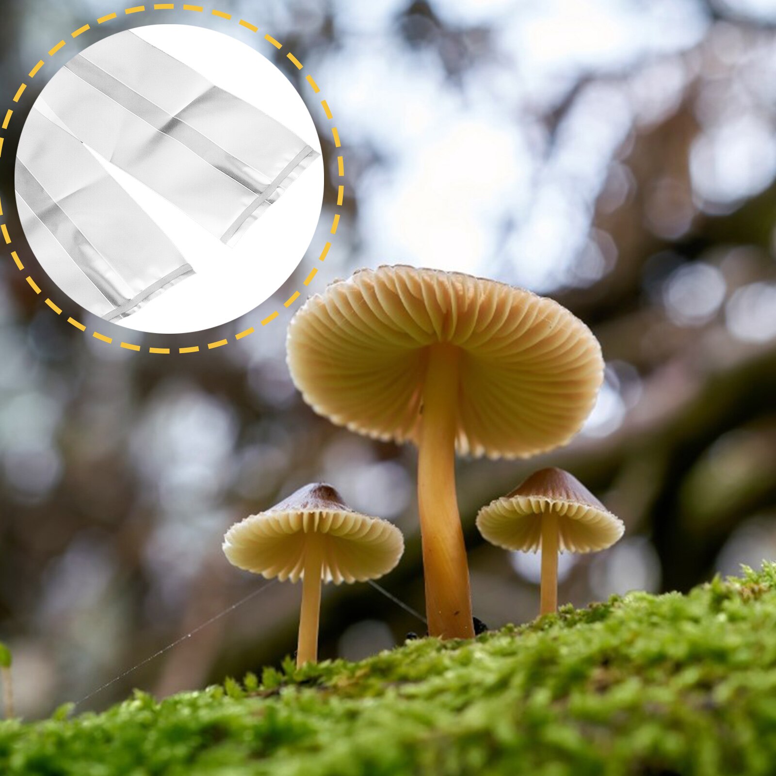 50Pcs PVC Mushroom Spawn Grow Bag Substrate High T... – Vicedeal