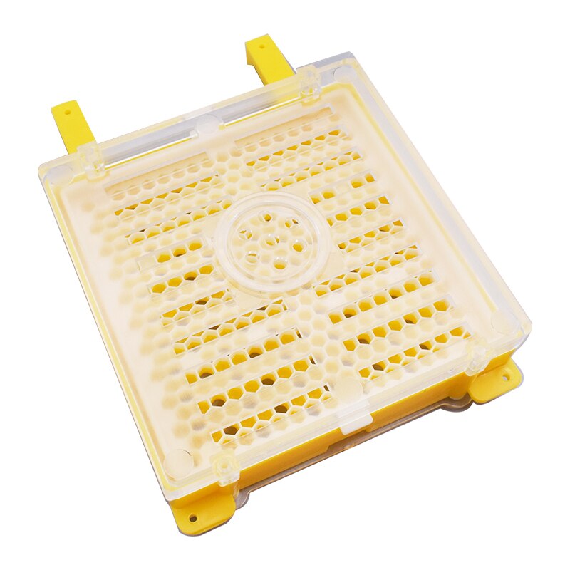 Nicot Queen Rearing System Jenter Queen Rearing Ki... – Grandado