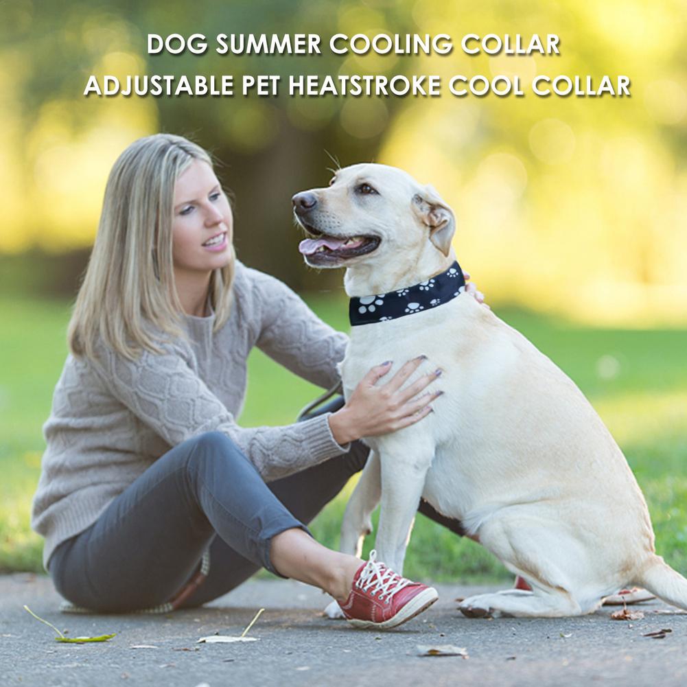 Summer Dog Supplies Pet Cooling Bib Summer Cool Ic... – Grandado
