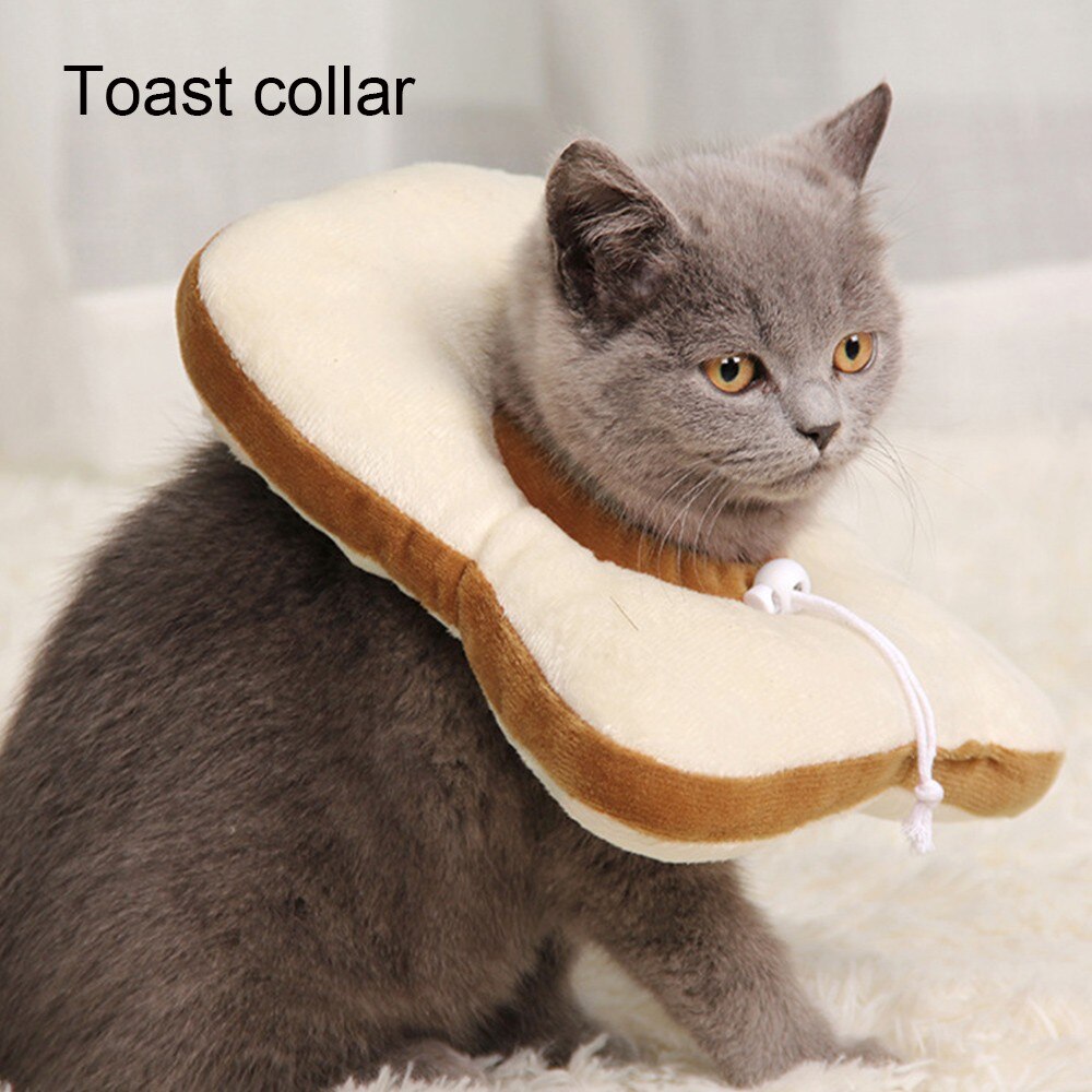 Cute Pet Protective Collars For Dogs Cats Wound He... – Vicedeal