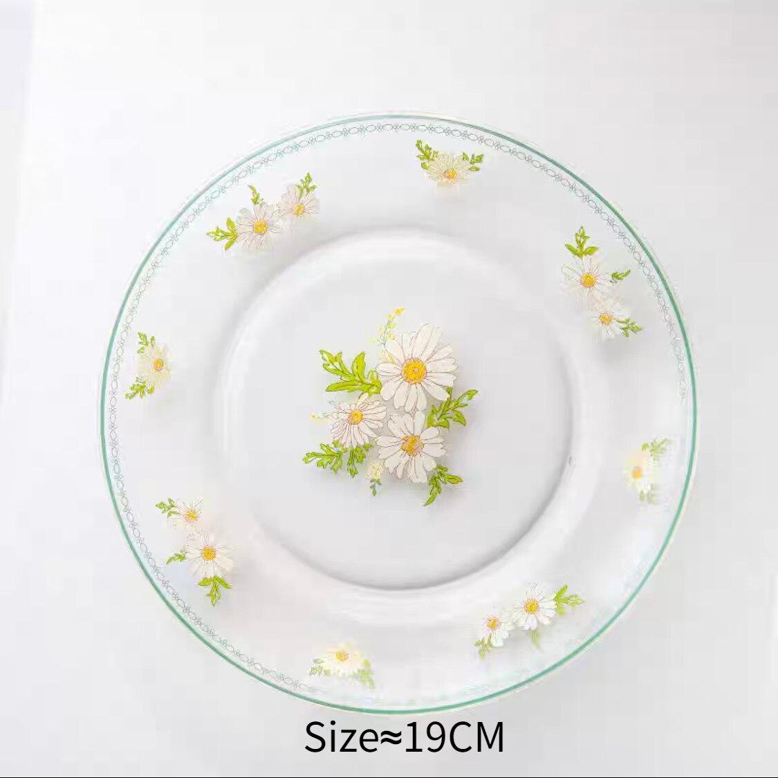 LadyCC Glass Plate Ceramics Dinner Plates for Food... – Grandado