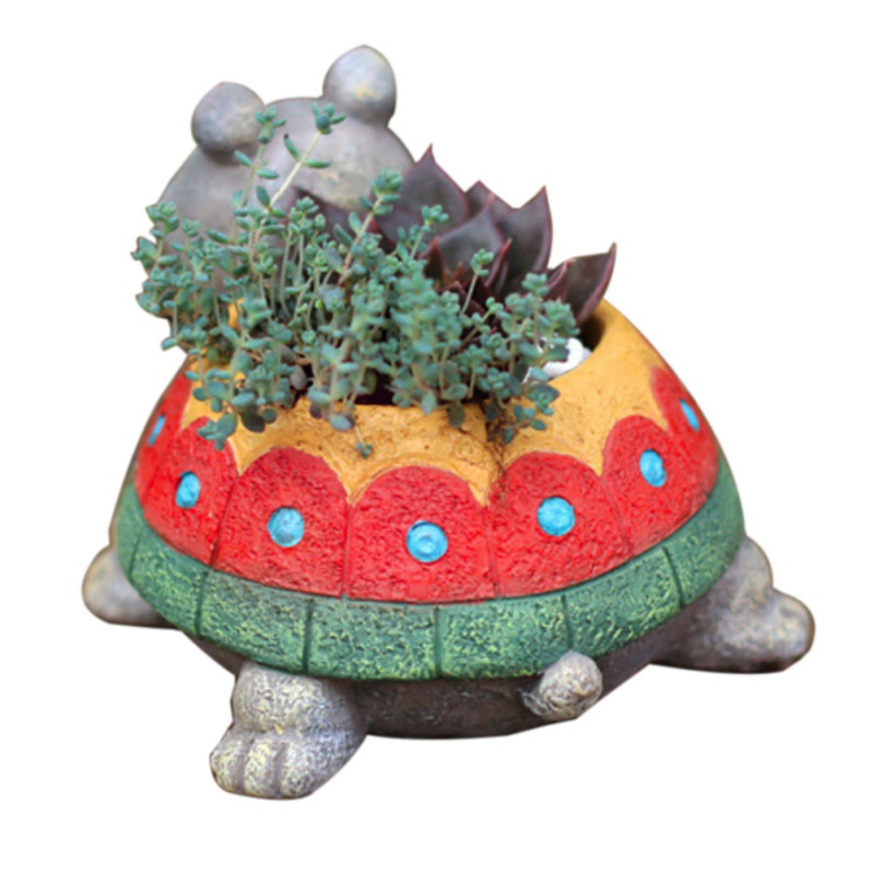 tortoise shape Succulents flower pot Flowerpot car... – Grandado