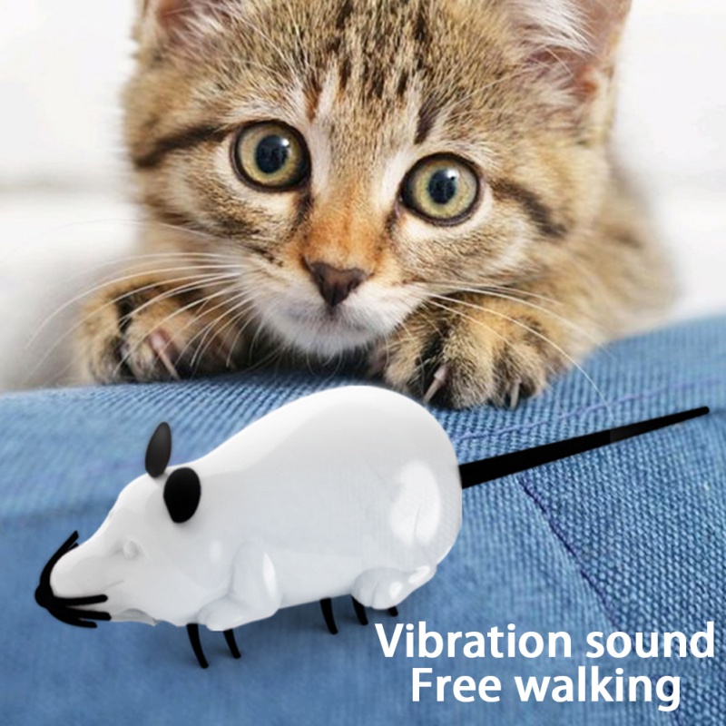 Cat Toys Rotating Electric Rat Mice Wireless Remot... – Vicedeal
