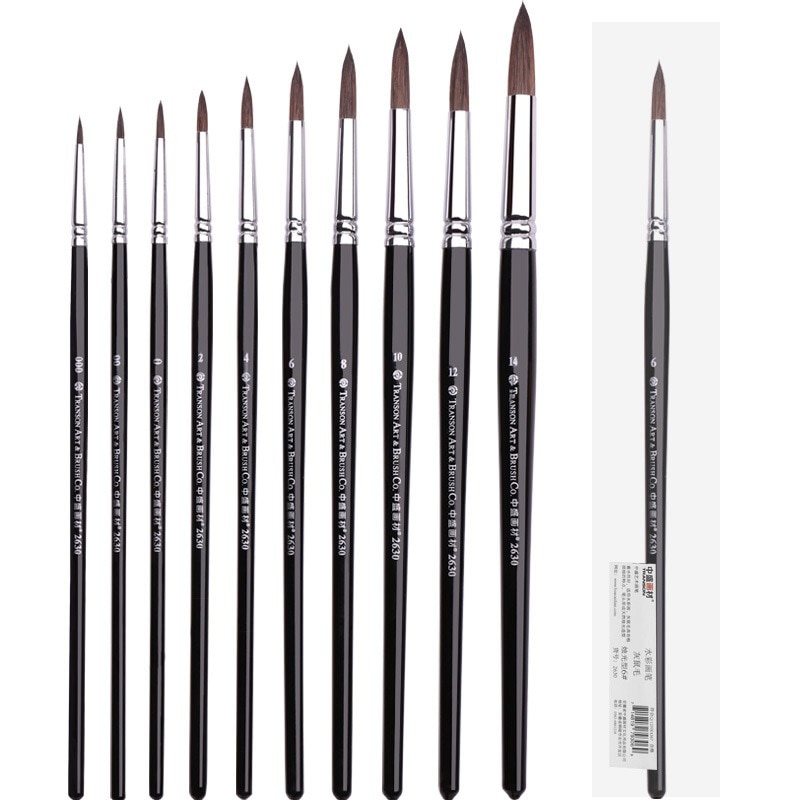 DINGYI Round Squirrel Hair Paint Brush Pen Artist ... – Grandado