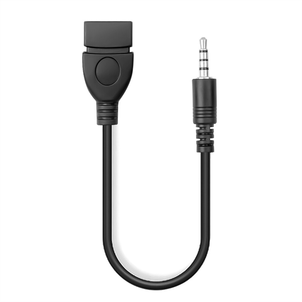 Male Audio AUX to USB Type A Female OTG Converter ... – Grandado