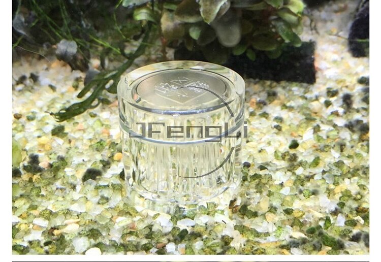 Acrylic planaria trap leech traps shrimp Catcher c... – Grandado