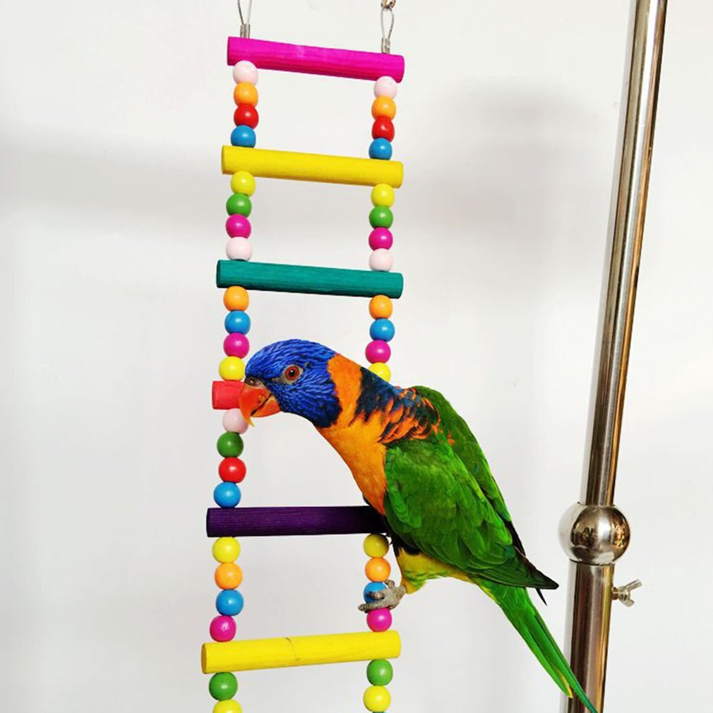 Bird Colorful Swing Wooden Bridge Climbing Ladder ... – Grandado