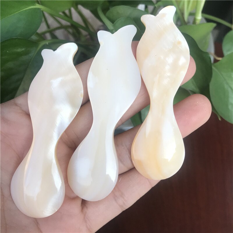 10 stuks natuurlijke schelpen, mooie kleine lepel,... – Vicedeal